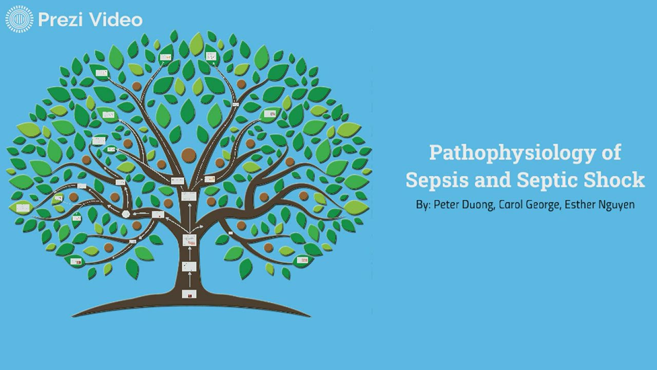 Sepsis and Septic Shock Pathophysiology by Esther Nguyen on Prezi Video
