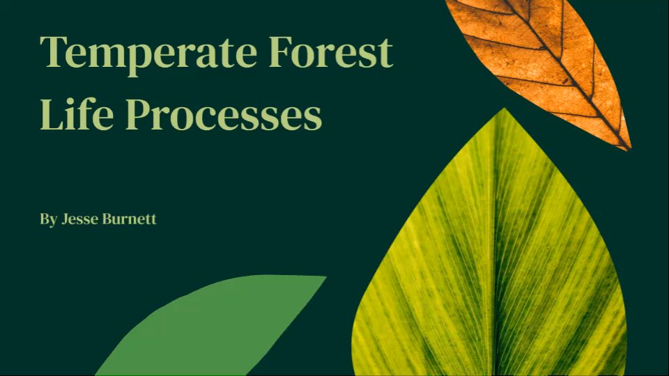 Temperate Forest Life Processes by Jessica Burnett on Prezi Video