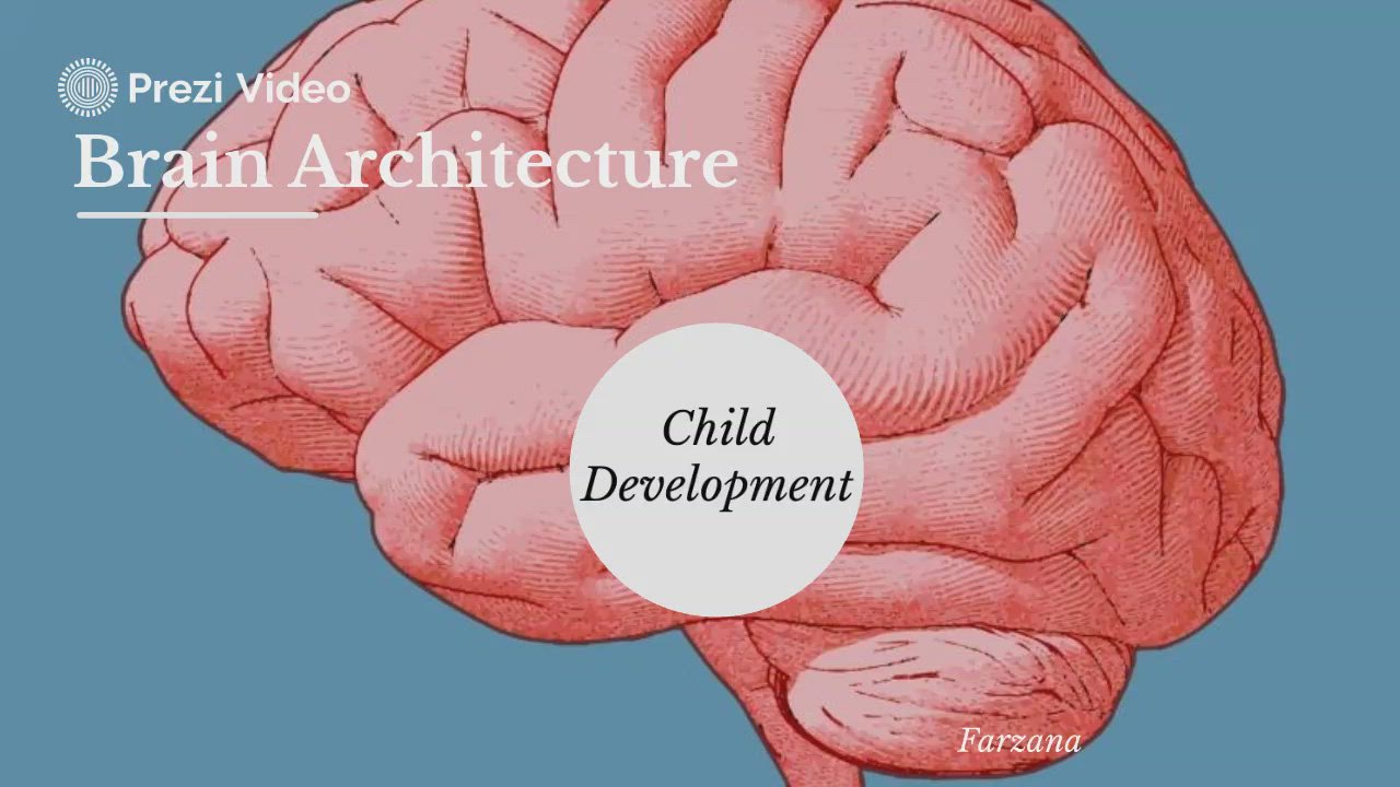 Brain Architecture by Farzana Shaikh on Prezi Video