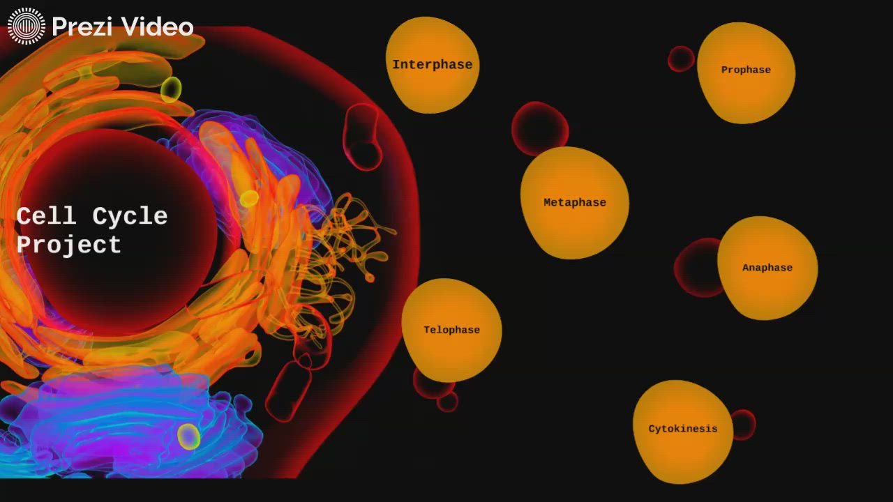 Cell Cycle Project by Tolly H on Prezi Video