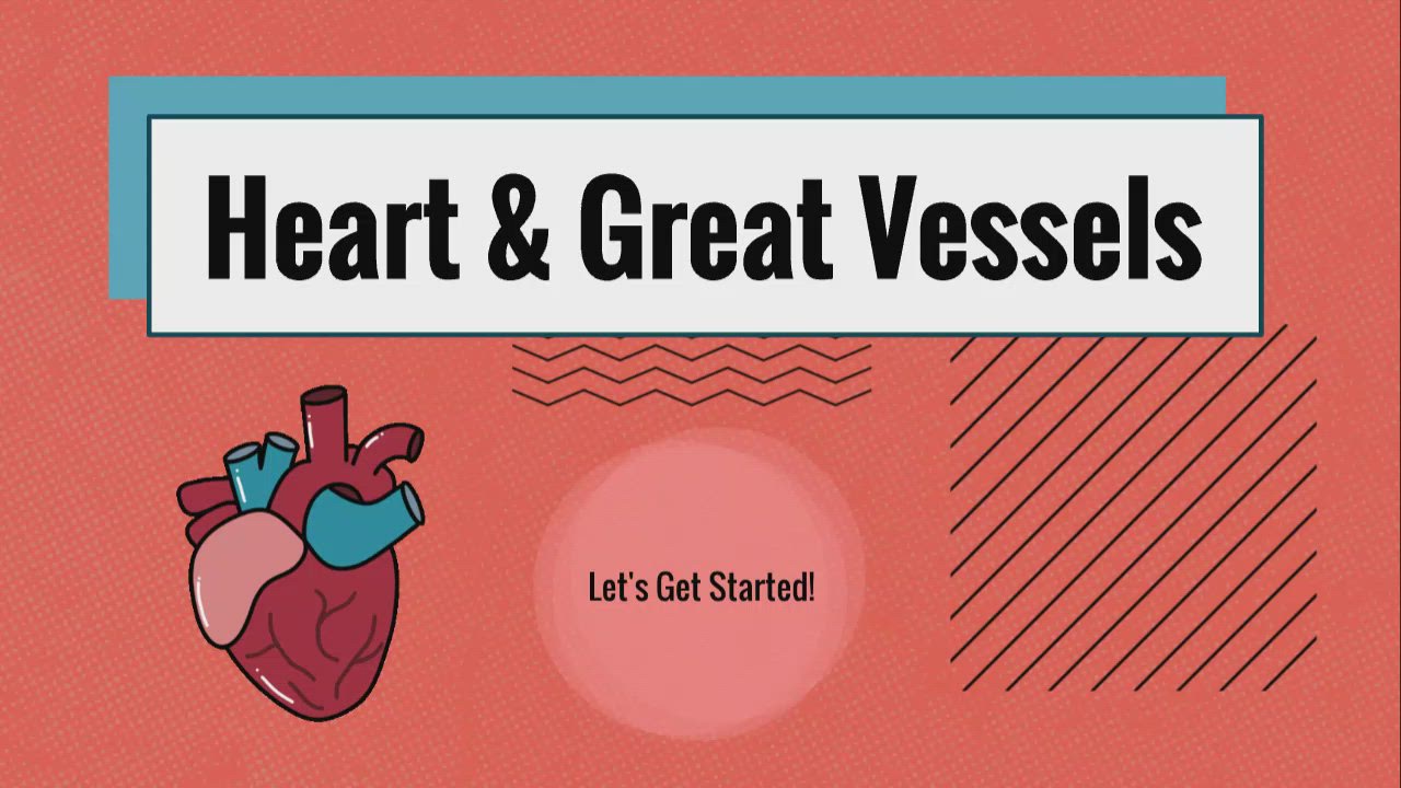 Heart & Great Vessels by Sally Chia on Prezi Video