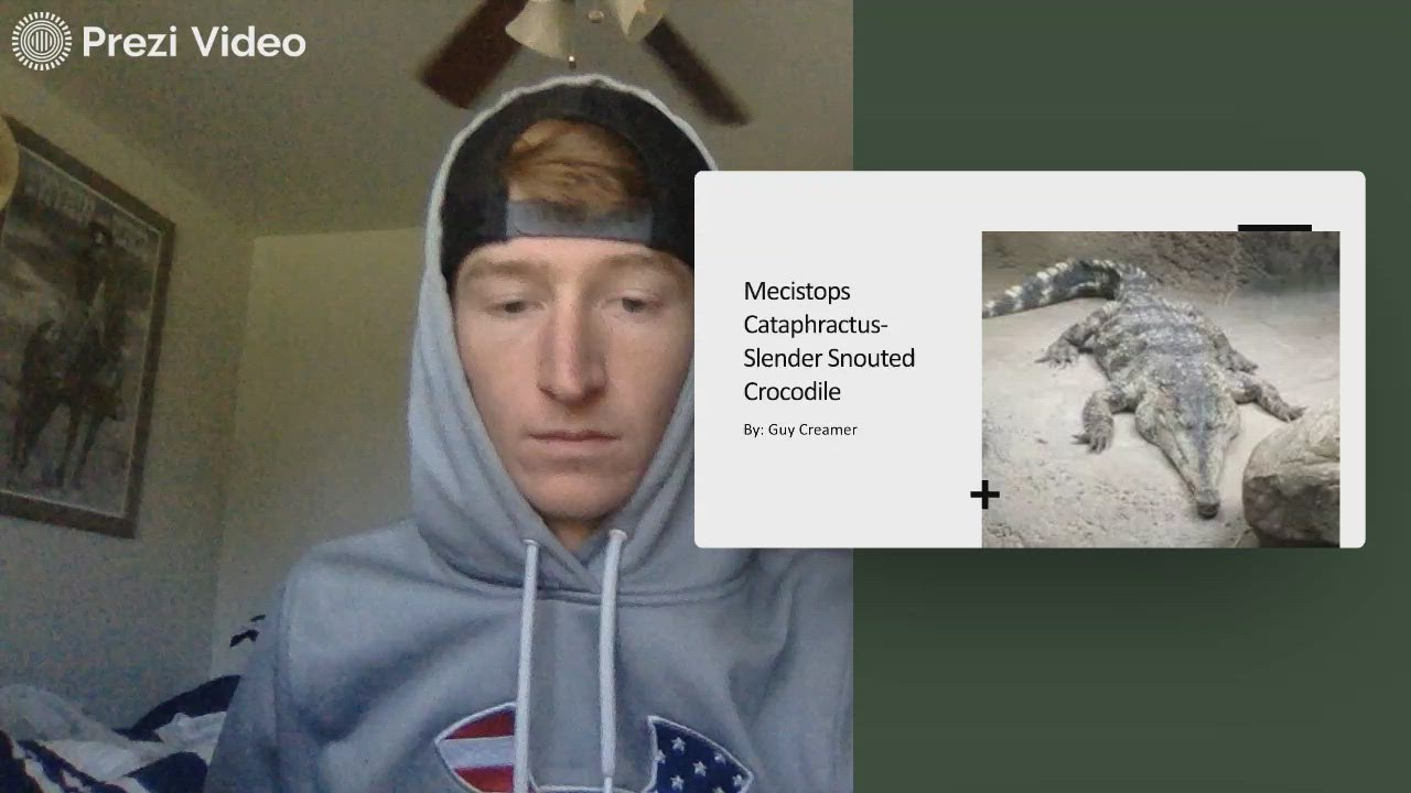 Slender Snouted Crocs by Guy Creamer on Prezi Video