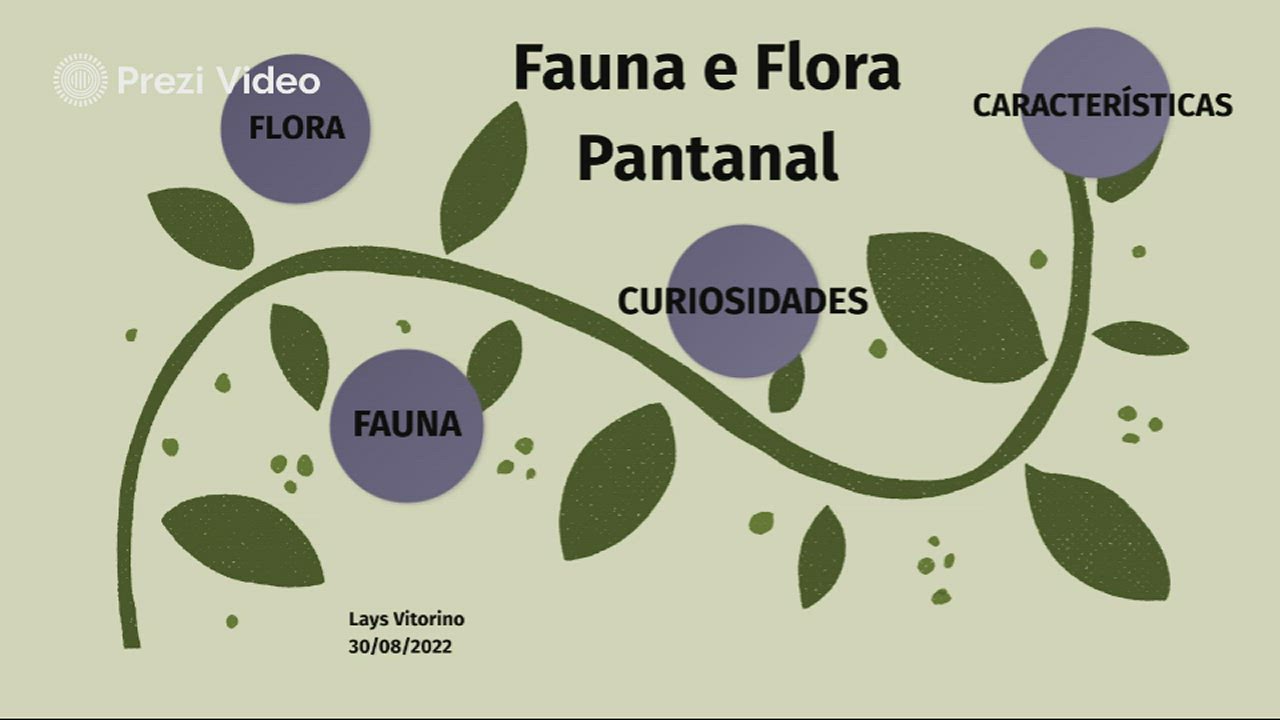 Trabalho de Ciências Fauna e Flora by Lays Cristina Vitorino dos Santos on Prezi Video