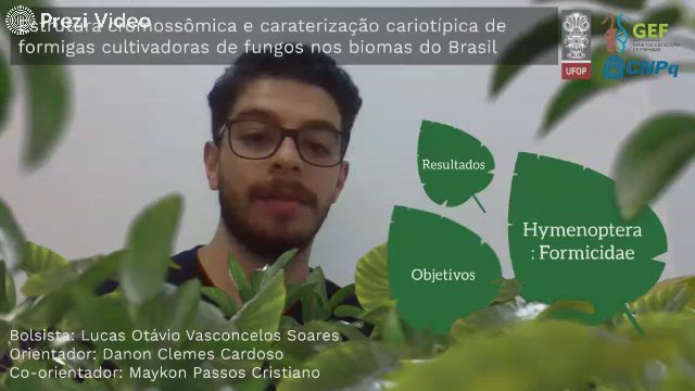 Estrutura Cromossômica E Caracterização Cariotípica De Formigas