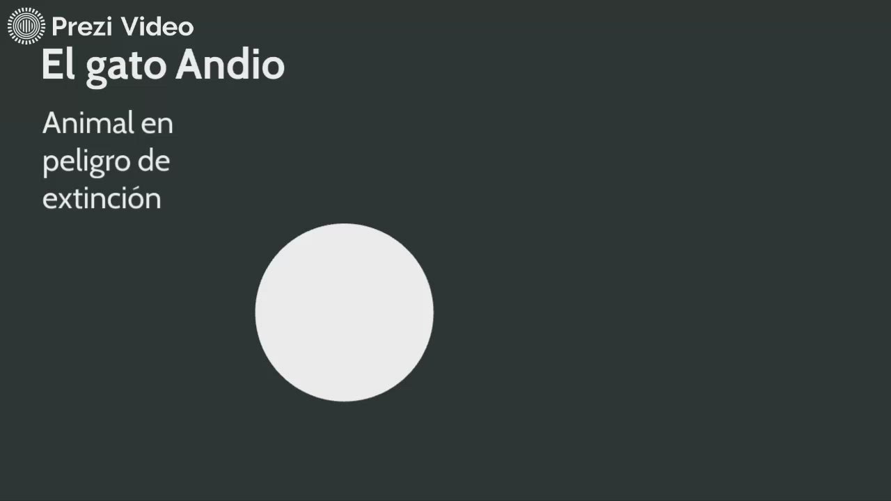 El gato andino by Adrian Napan Ccoñas on Prezi Video