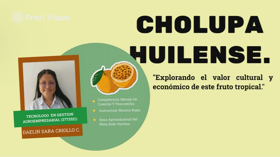CHOLUPA HUILENSE. by Saritha Criollo on Prezi Video