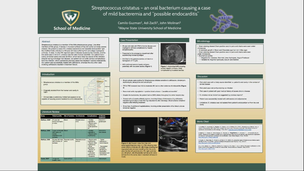 Poster Presentation by Camilo Guzman on Prezi Video
