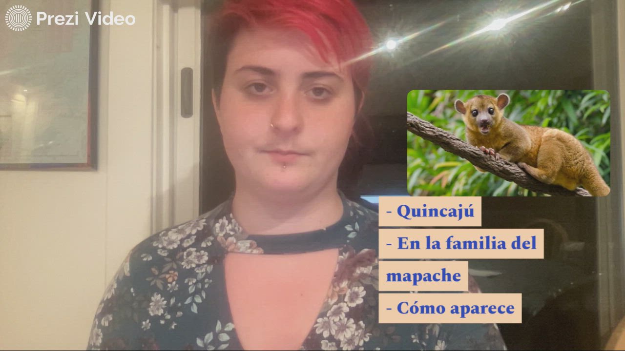 - Quincajú - En la familia del mapache - Cómo aparece by Zoe Rosenthal ...