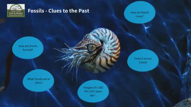 Fossils - Clues to the Past by Melissa Proffitt on Prezi Video