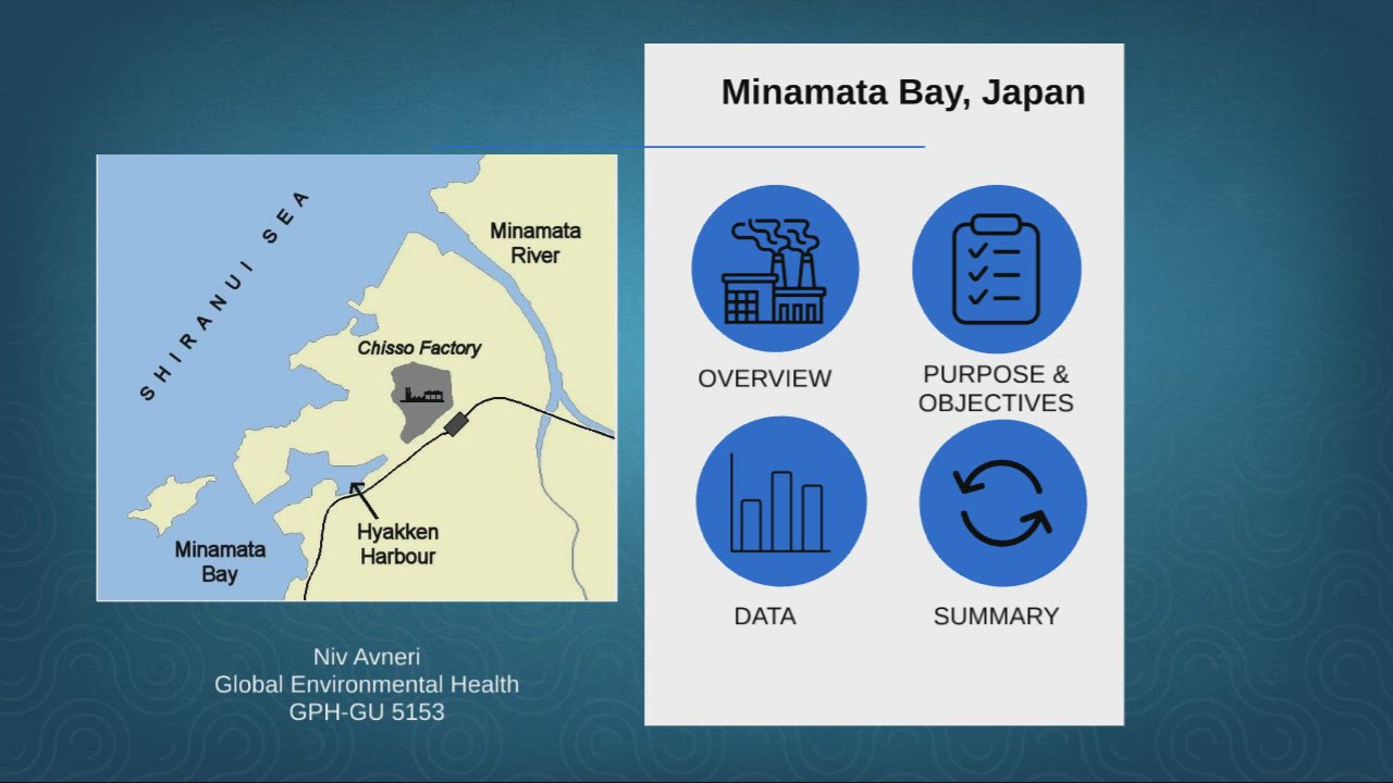 Minamata Bay, Japan by Niv Avneri on Prezi Video
