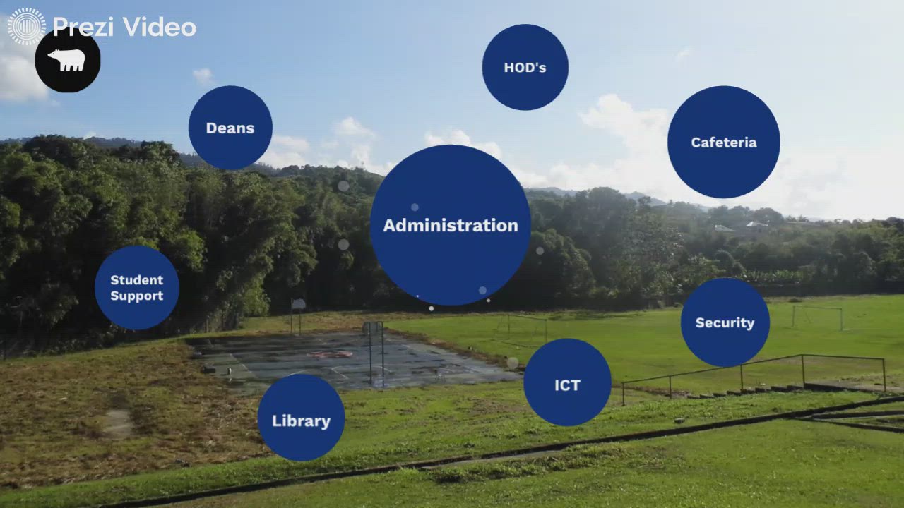 Org Chart by Samuel Cassar on Prezi Video
