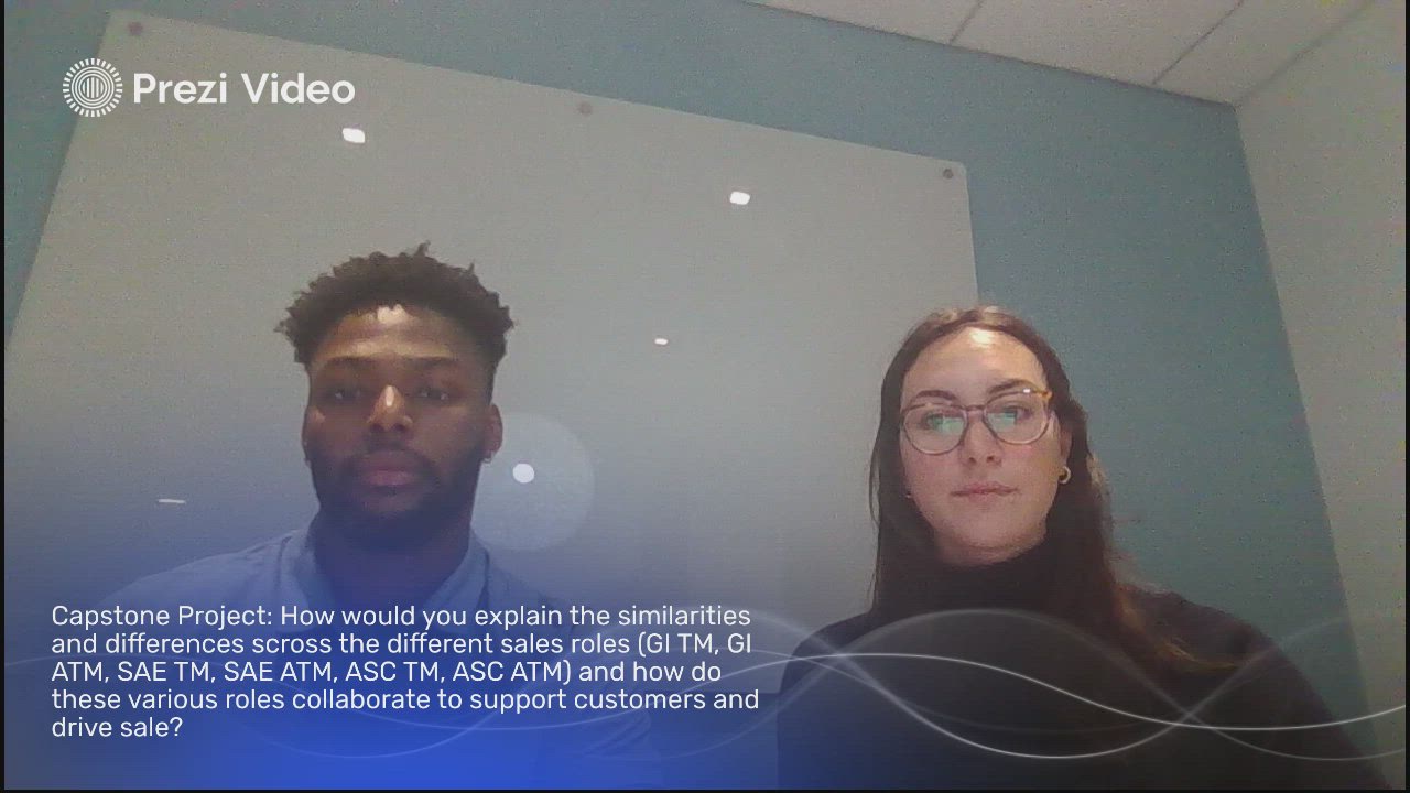 Capstone Project: How would you explain the similarities and ...