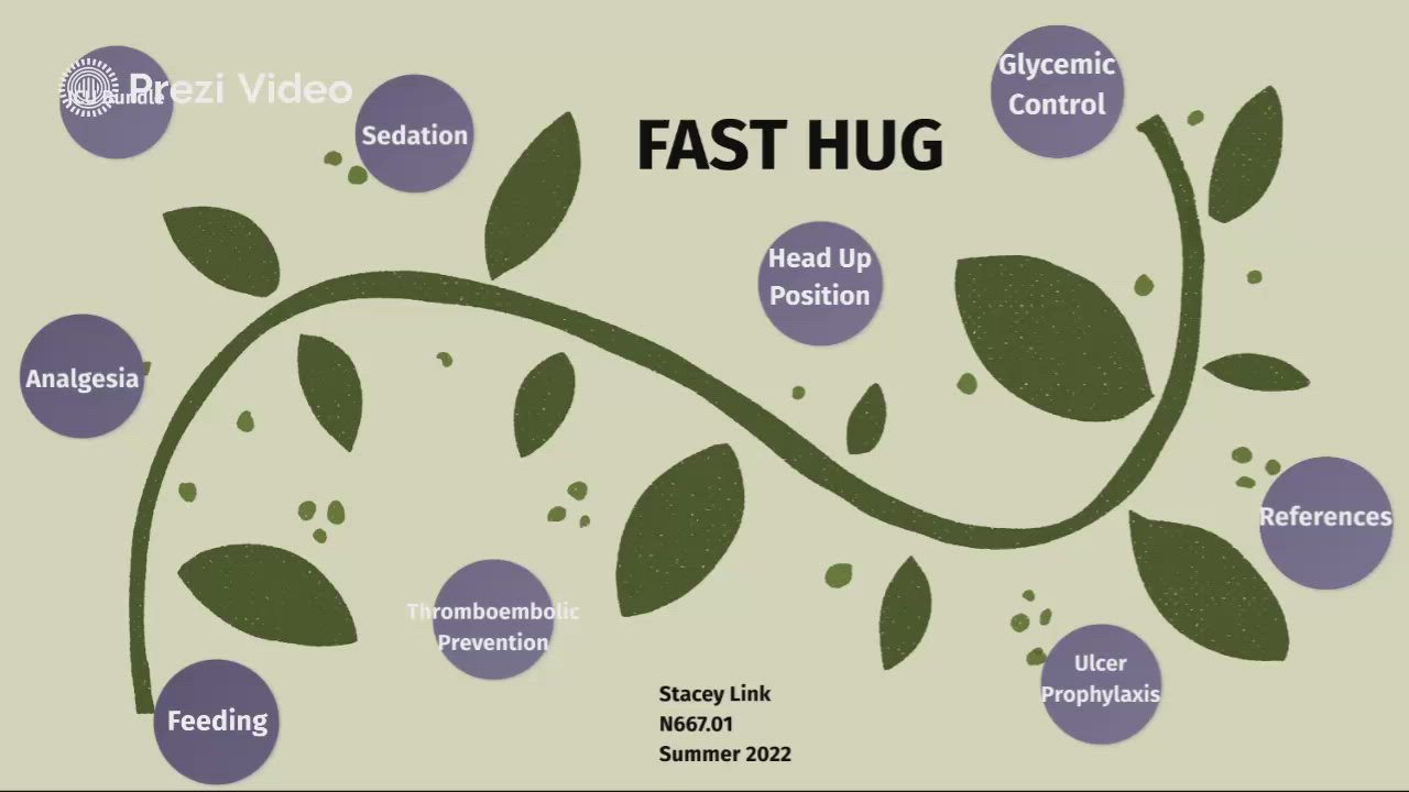 FAST HUG by Stacey Link on Prezi Video