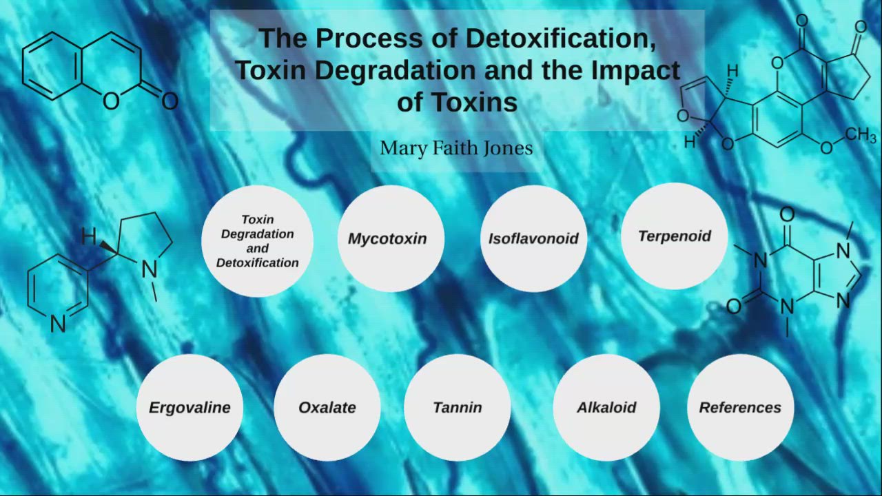 The Process of Detoxification, Toxin Degradation and the Impact of ...