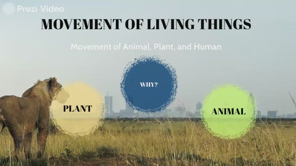 MOVEMENT OF LIVING THINGS by Melisa Ekahana on Prezi Video