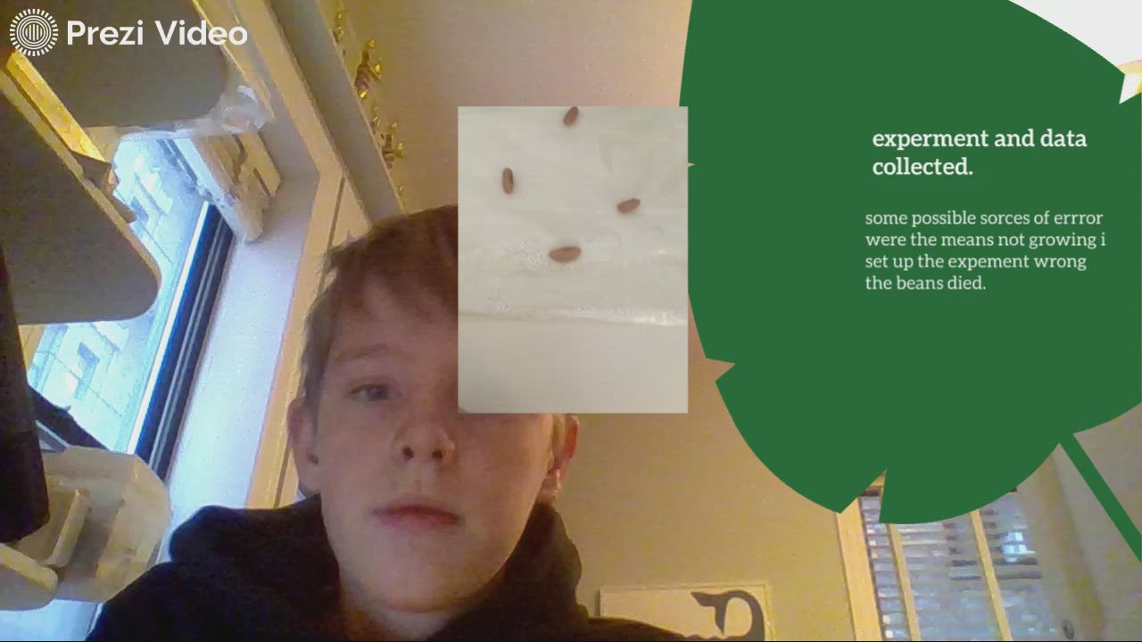 declan burns geotropisum by declan burns on Prezi Video