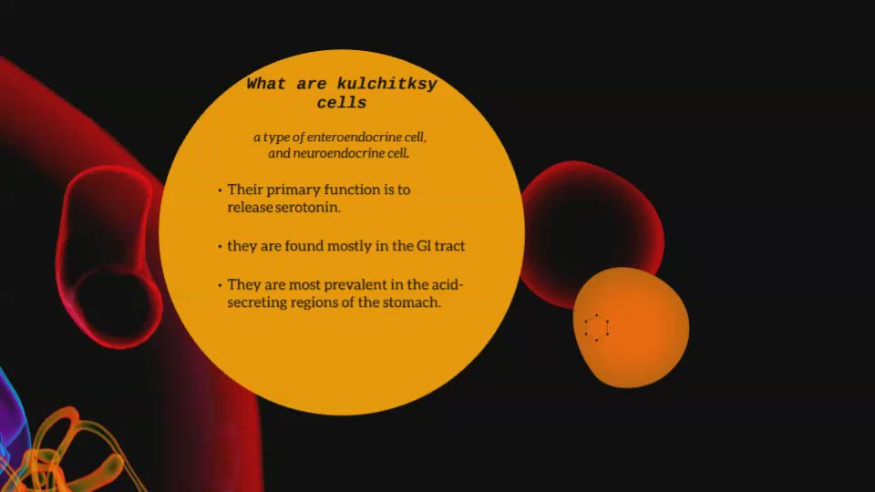 Kulchitsky Cells by courtney hanks on Prezi Video