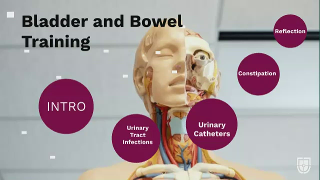 Bladder and Bowel Training by Stephanie Hassanali on Prezi Video