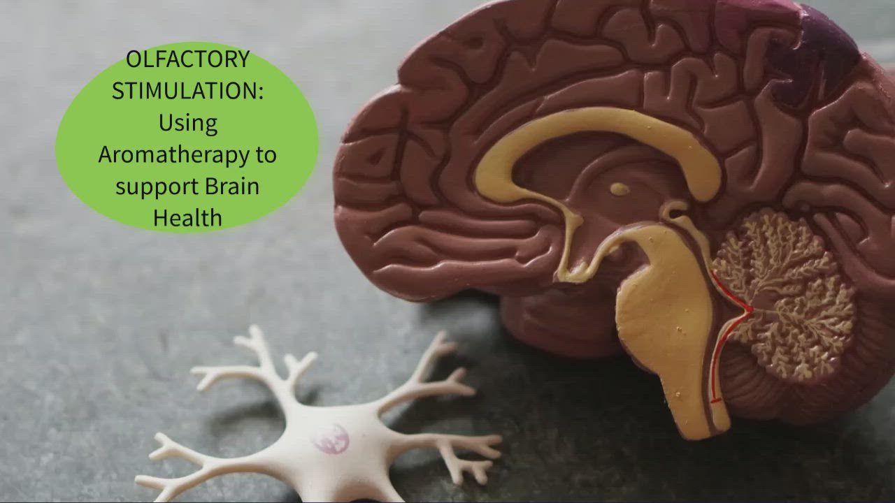 3 Olfactory Stimulation Slide Topical (after aromatic interactive) by ...