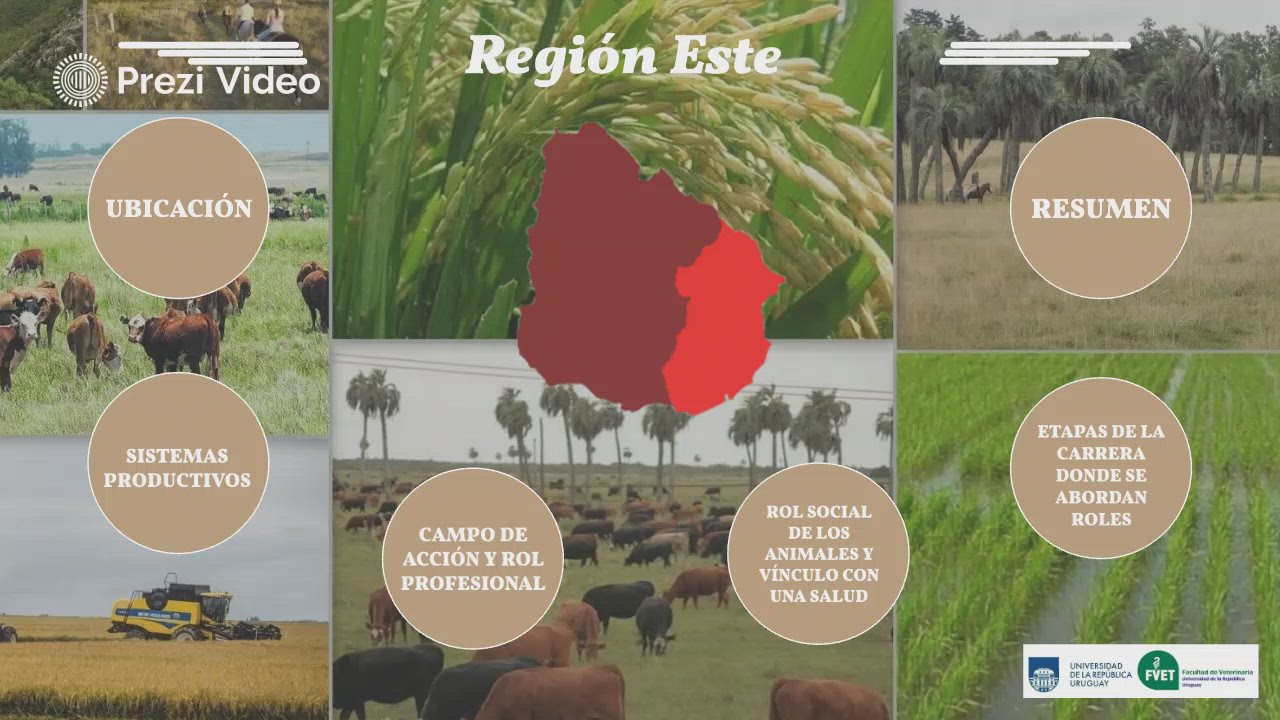 Region este by Belen Romero on Prezi Video