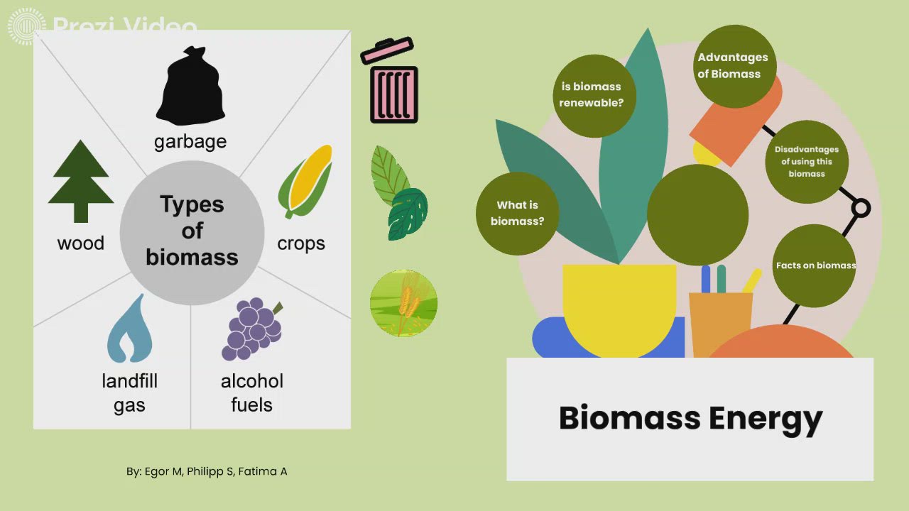 Biomass Energy by Egor M (ME0300022) on Prezi Video