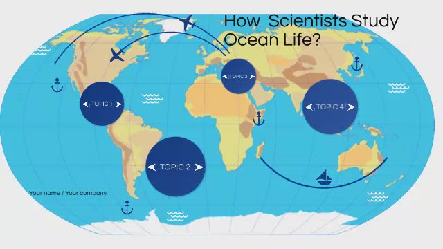 from Far from shore Infographic . by Teacher MAS on Prezi Video