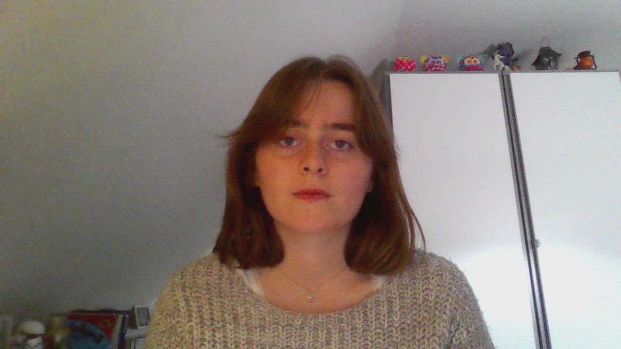 Our Ideal School by Jamie HADFIELD on Prezi Video