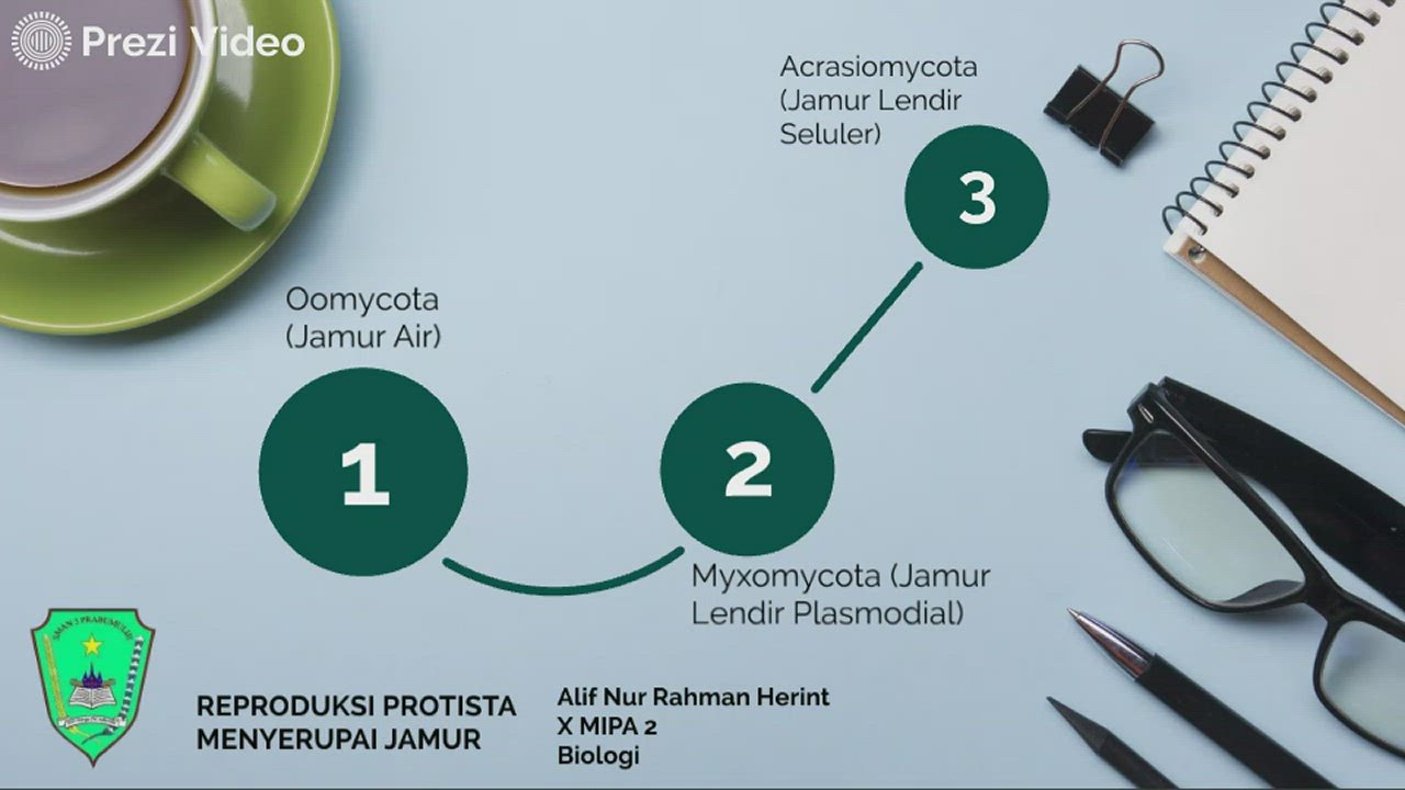 Reproduksi Protista Menyerupai Jamur by Alif Nur Rahman Herint on Prezi ...