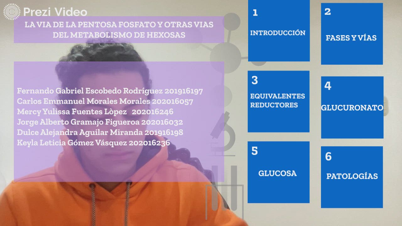 La via de la hexos monofosfato y otras vías del metabolismo de hexosas ...