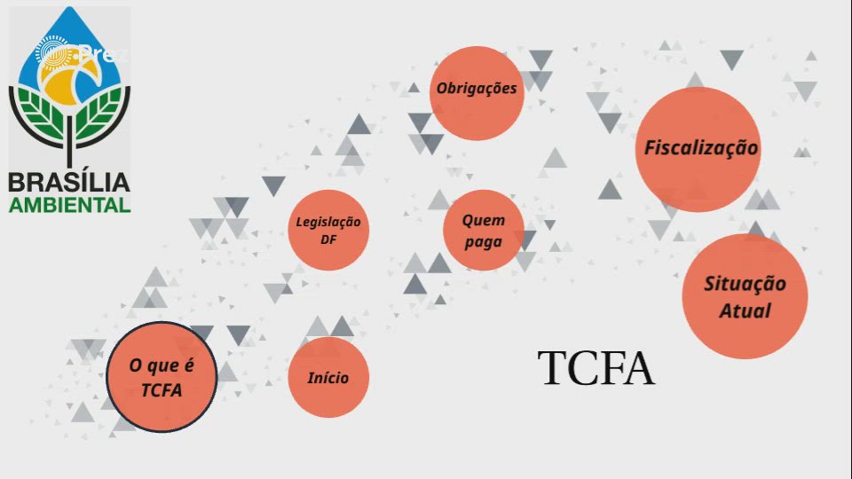 Apresentação TCFA by Simone Moura on Prezi Video