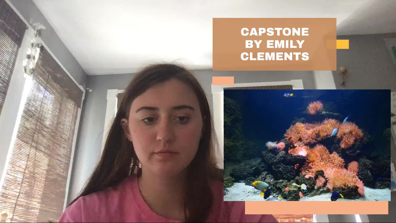Emily Clements: The Degradation of the Coral Reefs and What ...