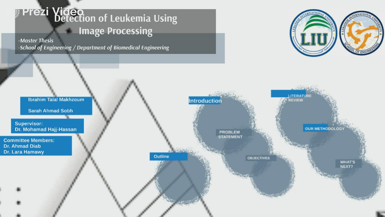 Master Thesis Detection Of Leukemia Using Image Processing By Sarah 5689