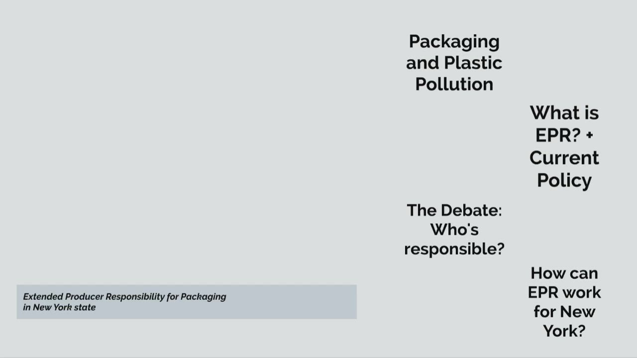 EPR Packaging by E S on Prezi Video