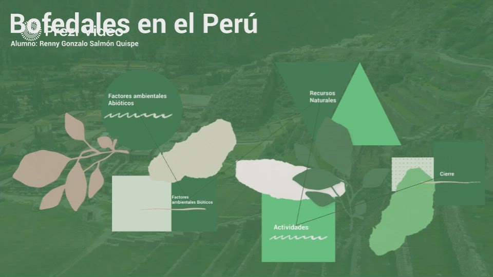Bofedales en el Perú by Renny Gonzalo Salmón Quispe on Prezi Video