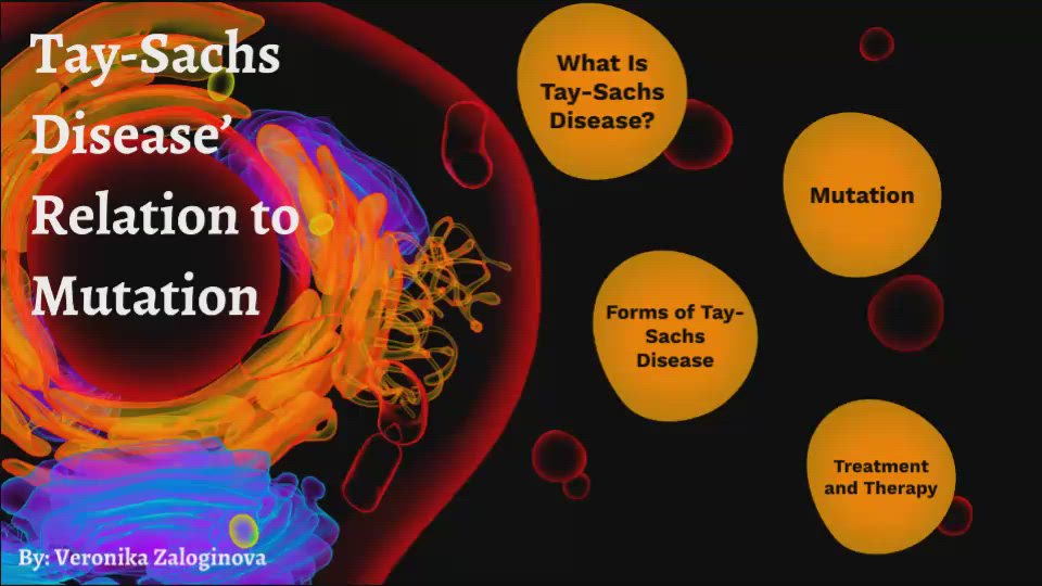 Tay-Sachs Disease’ Relation to Mutation by Veronika Zaloginova on Prezi ...
