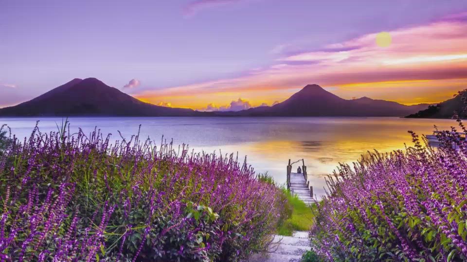 Neuroday 2022 by Em Siff on Prezi Video