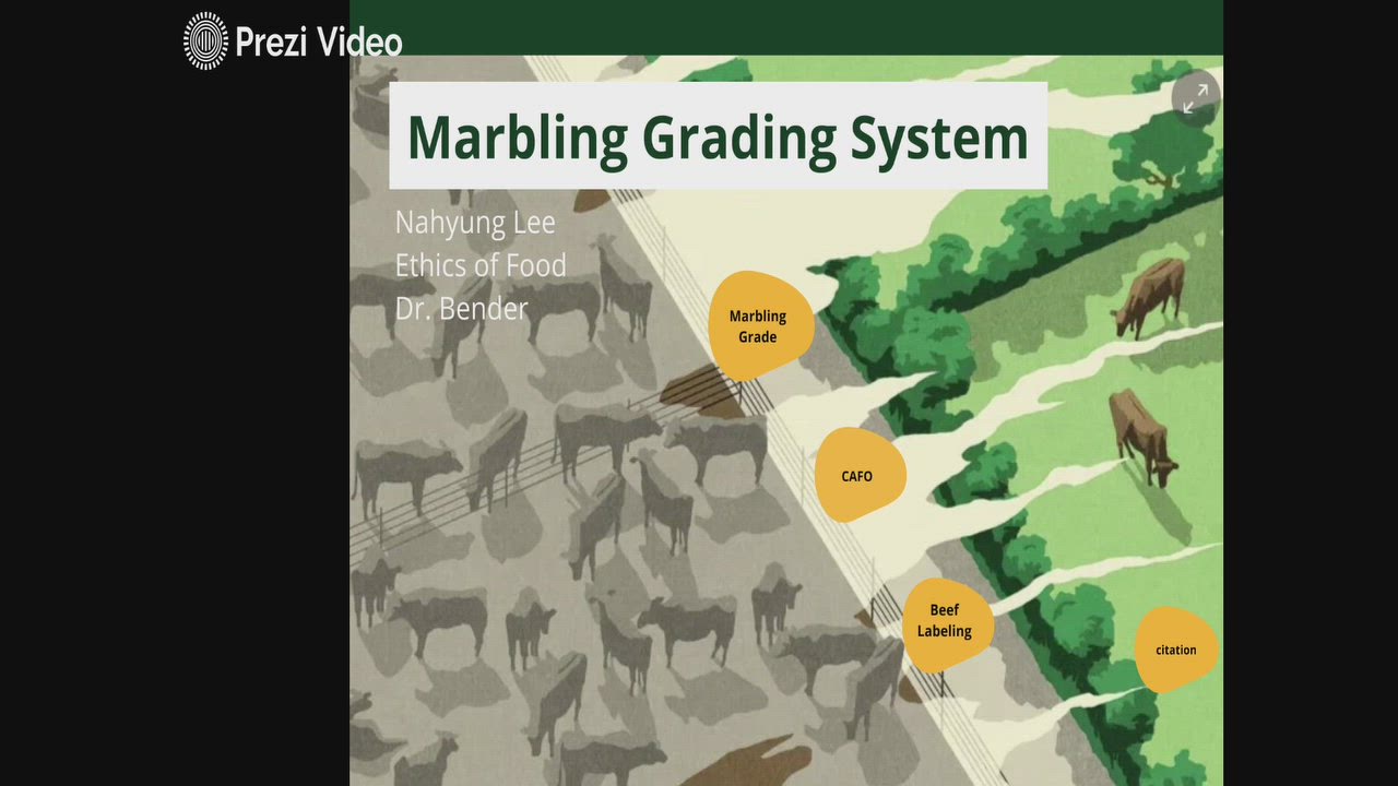 Marbling Grading system by NAHYUNG LEE on Prezi Video