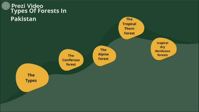 Types of forests in Pakistan by MISHAL HASAN on Prezi Video