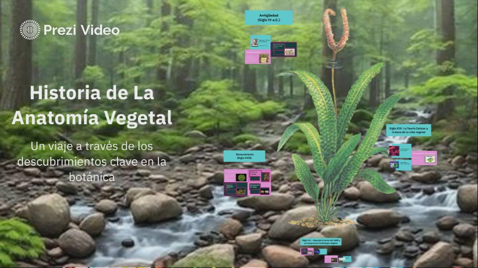 Historia de La Anatomía Vegetal by CLAUDIA IRIAS on Prezi Video