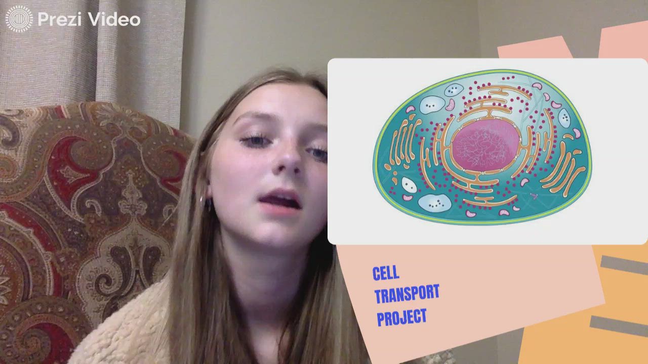 Cell Transport Project By Jennifer Steele On Prezi Video cell-transport-project-by-jennifer-steele-on-prezi-video