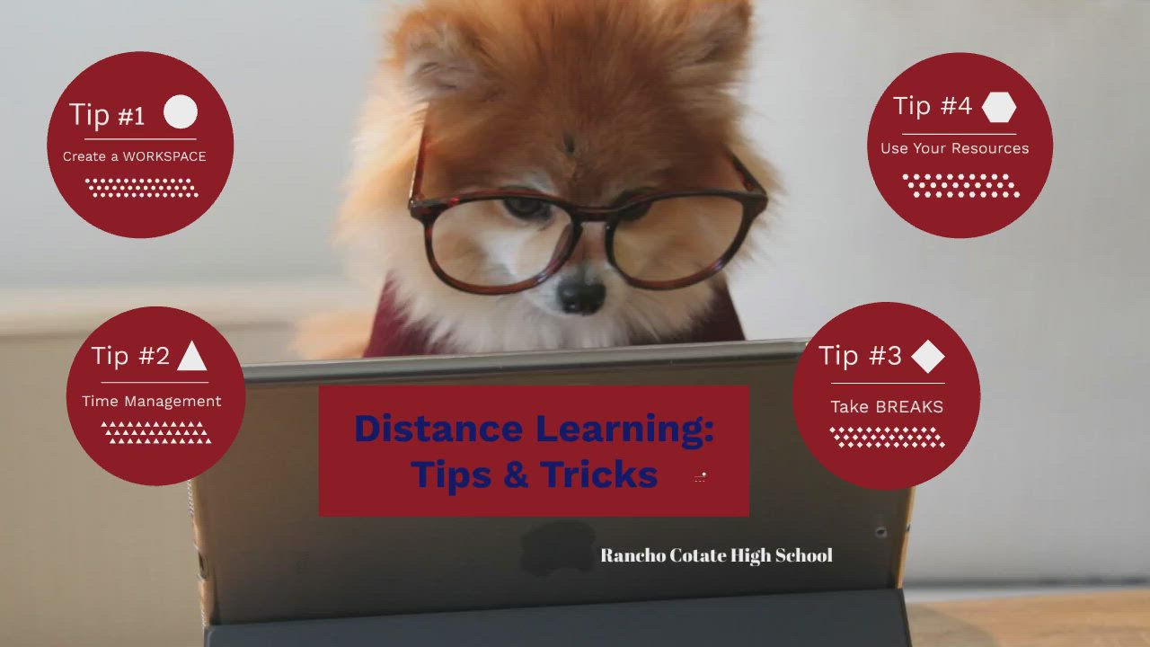 Distance Learning: Tips & Tricks by Ana Navarro on Prezi Video