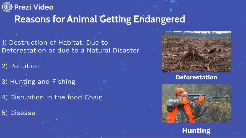 Endangered Animal by Nimay Shah on Prezi Video
