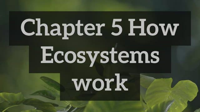 Chapter 5 How Ecosystems work by Teacher MAS on Prezi Video