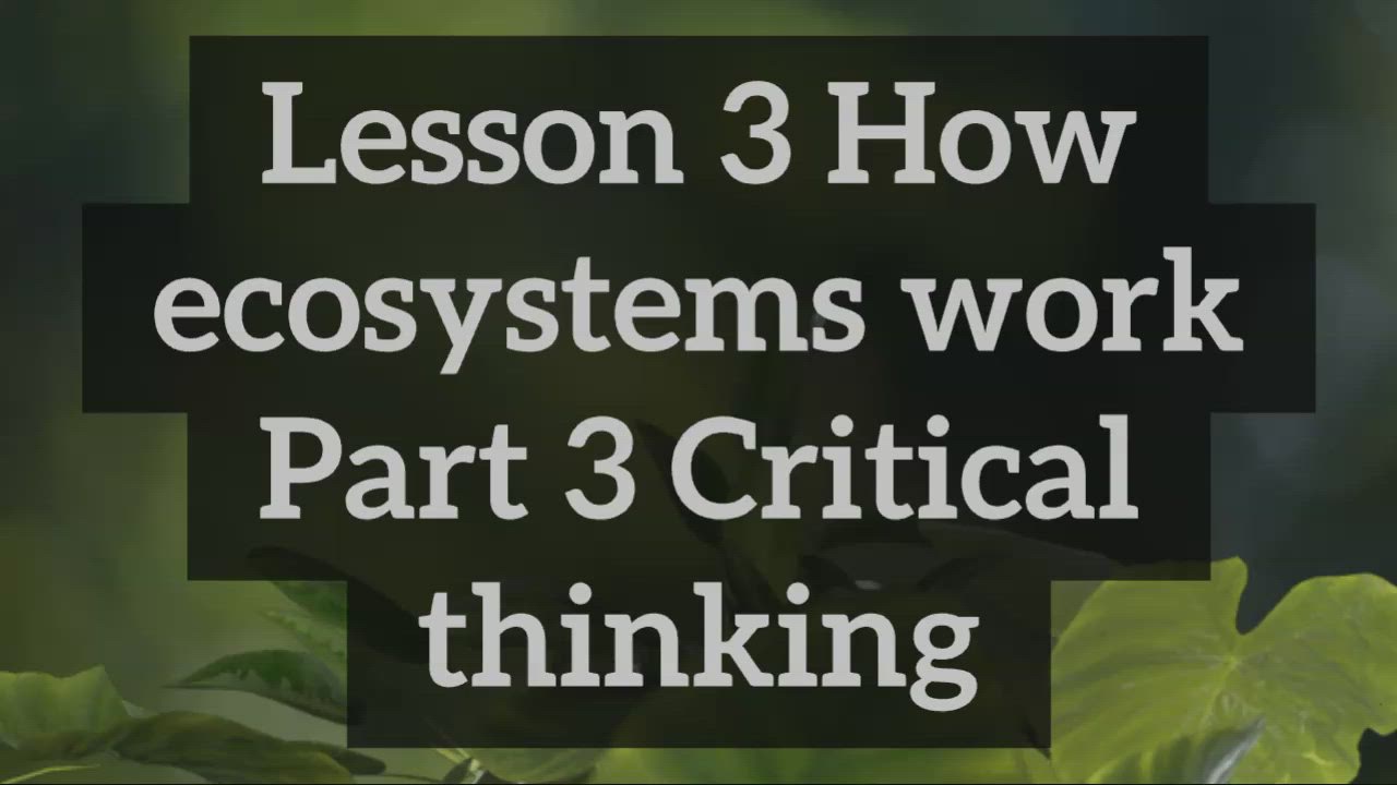 Lesson 3 How ecosystems work Part 3 Critical thinking by Teacher MAS on ...