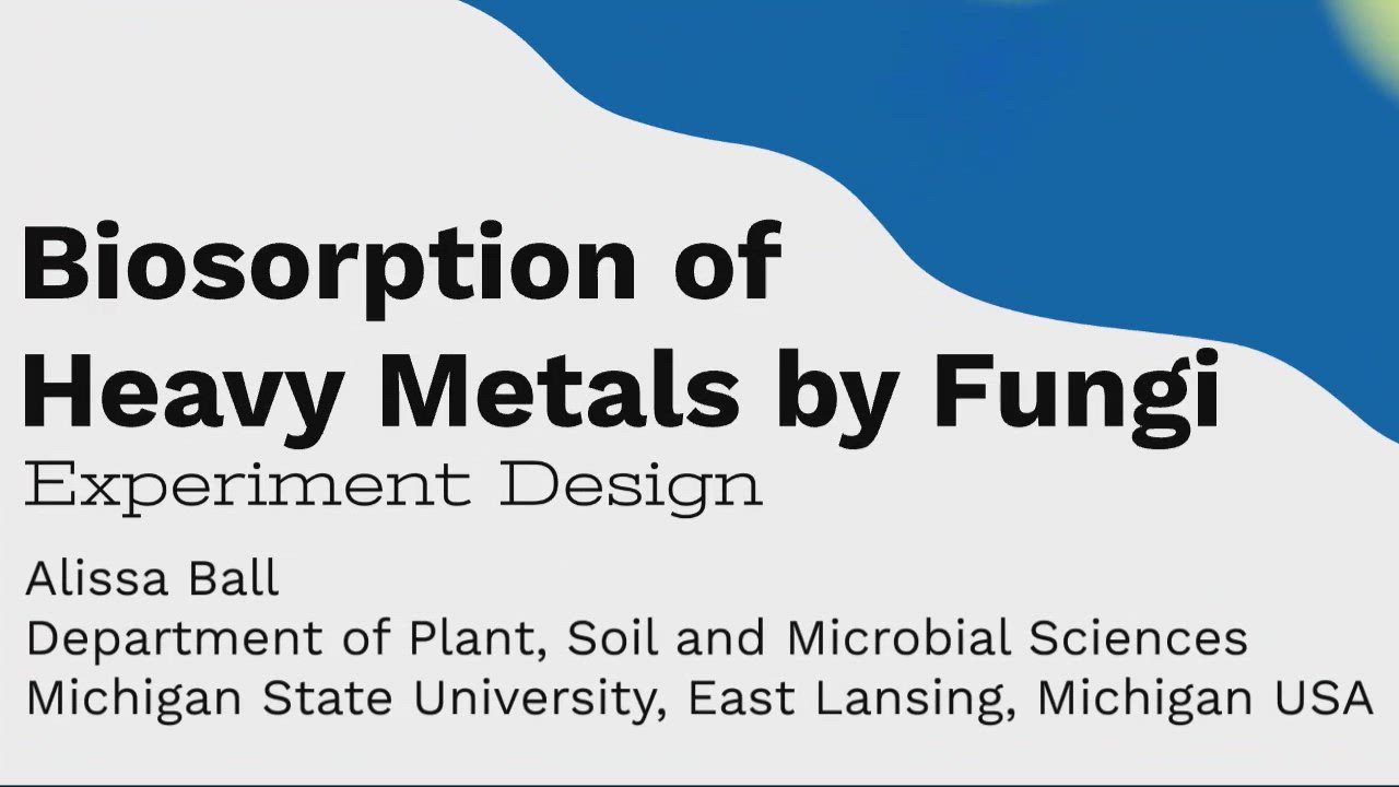 Biosorption of Heavy Metals by Fungi by Alissa Ball on Prezi Video