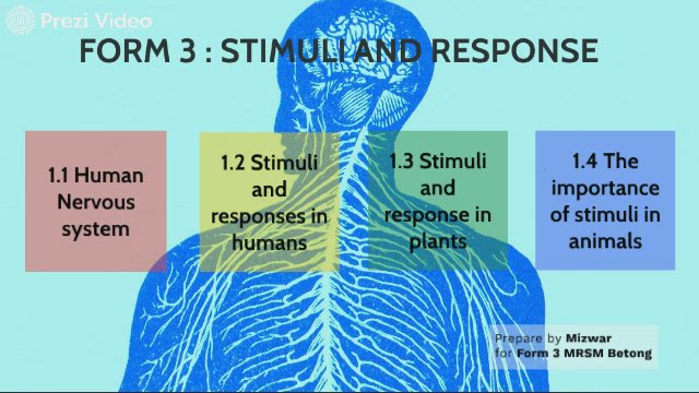 Stimulus Response In Plants