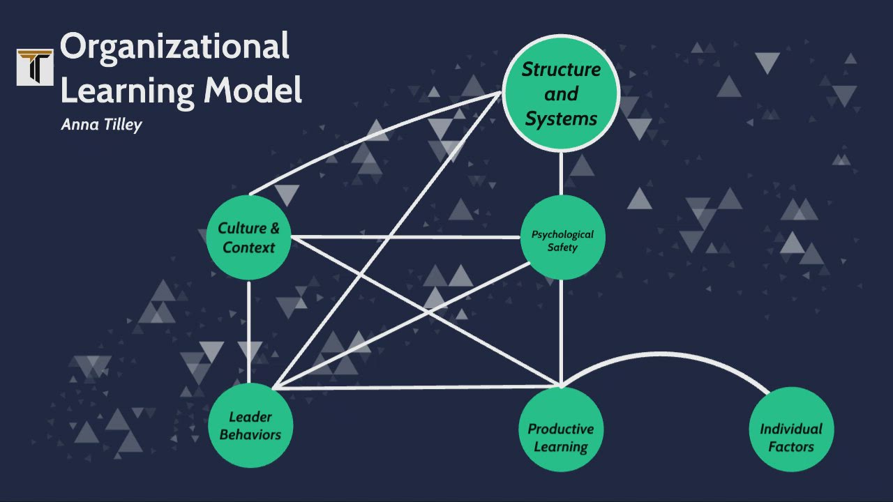 Organizational Learning Model by Anna Marie on Prezi Video
