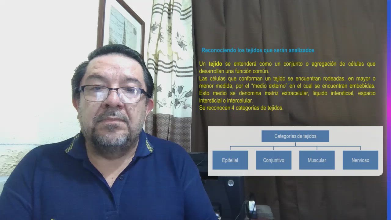 Tejido epitelial by Hugo Rodolfo Molina Arroyo on Prezi Video