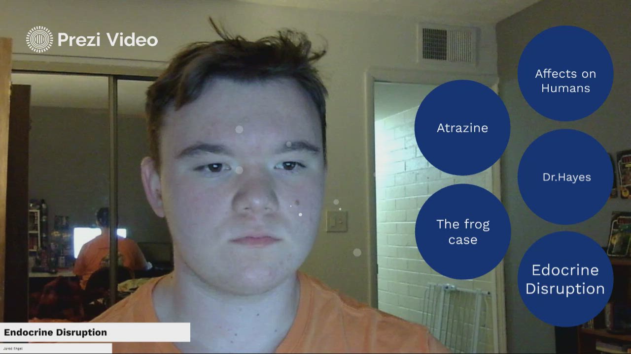 Endocrine Disruption in frogs by Jared Engel on Prezi Video