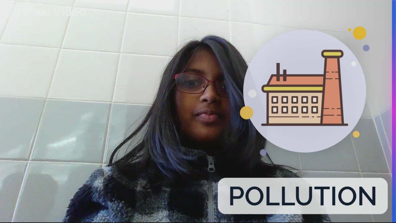 Pollution (Diya, Carly, Emma) by Diya George on Prezi Video